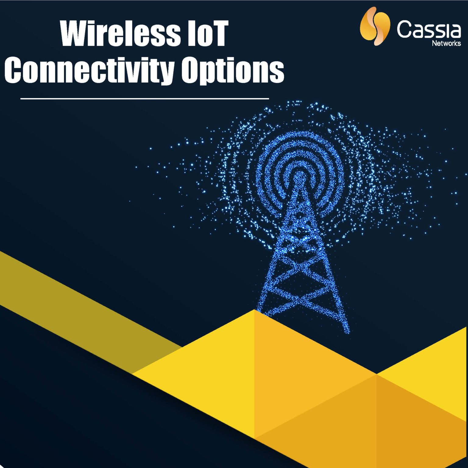 Wireless IoT Connectivity Options - Cassia Networks